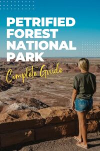 One Day In Petrified Forest National Park: Complete Guide & Driving ...